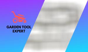 Chainsaw Chain Sizes and Types: An Expert’s 101 Guide – Garden Tool Expert