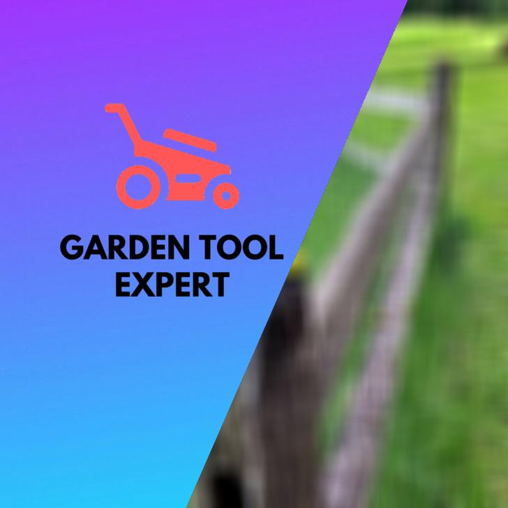 Lawn Transformation: How to Cut Long Grass. With Clever Tips – Garden ...