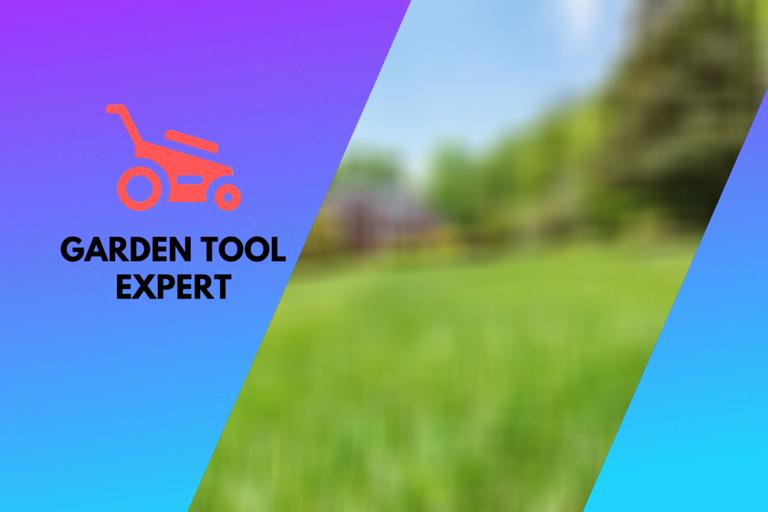 Mowing Height For Tall Fescue Grass. Tips from professionals – Garden ...