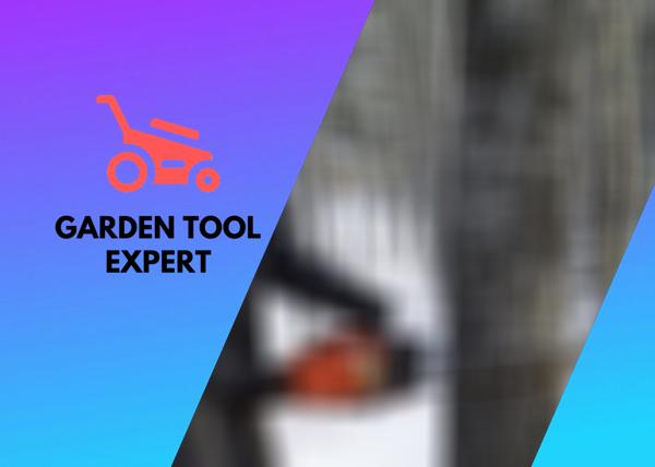 Chainsaw Over-Revving: Tips from a Professional. With Fixes – Garden ...