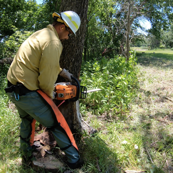 Chainsaw Chaps. Tips from a Professional – Garden Tool Expert