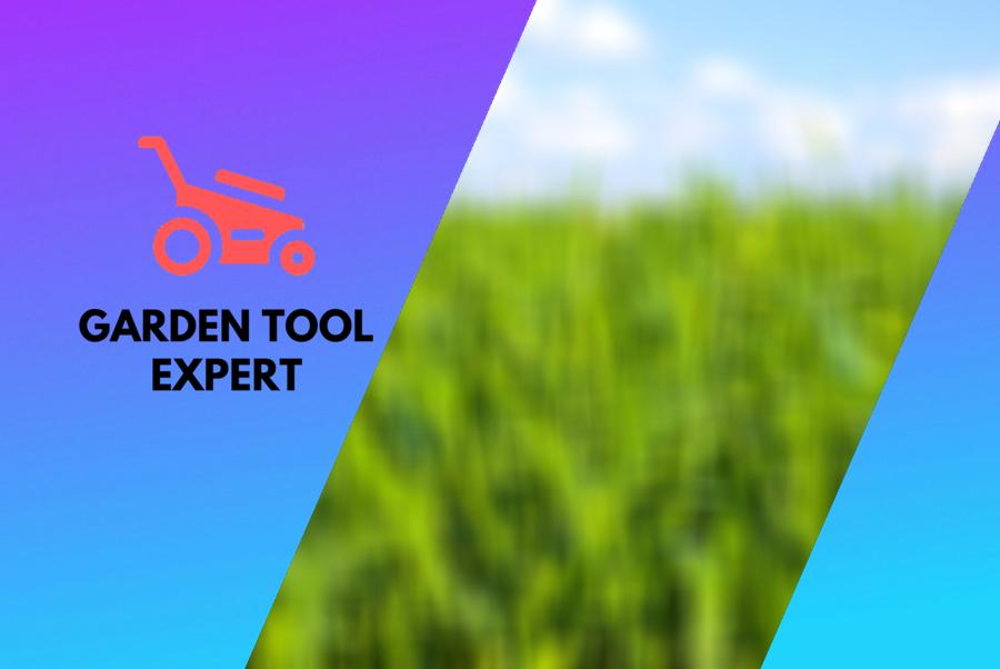 Mowing an Overgrown Lawn: A Comprehensive Guide. Clever Tips – Garden ...